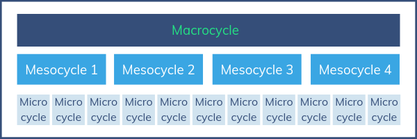 How To Use Zone-Based Training in Swimming