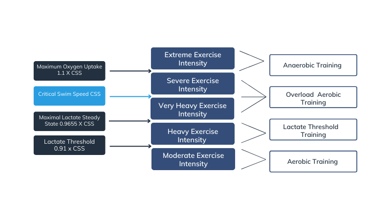 Critical Swim Speed Training Explained
