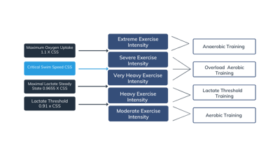 Critical Swim Speed Training Explained